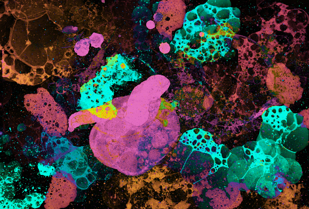 BioArte. Quando arte e ciência se encontram - 60+